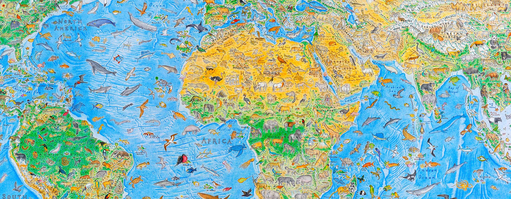 Hand-Drawn Maps – Prints of Wild World, North America & More – Anton ...