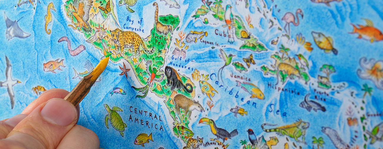 Hand-Drawn Maps – Prints of Wild World, North America & More – Anton ...