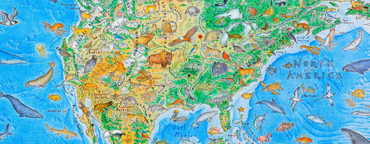 Hand-Drawn Maps – Prints of Wild World, North America & More – Anton ...