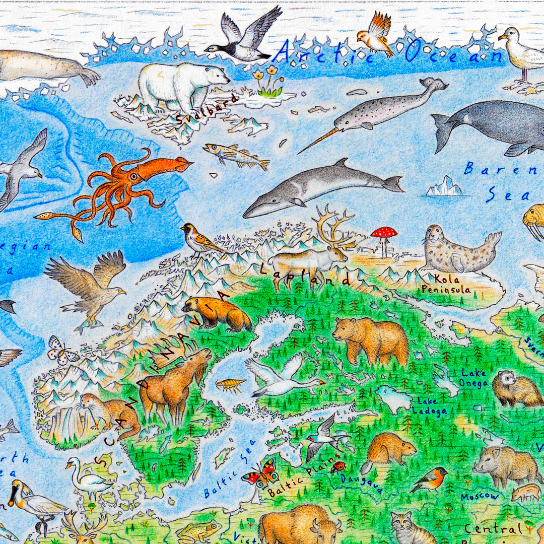 A Life in Maps: Anton Thomas, Artist-Cartographer – Anton Thomas Art
