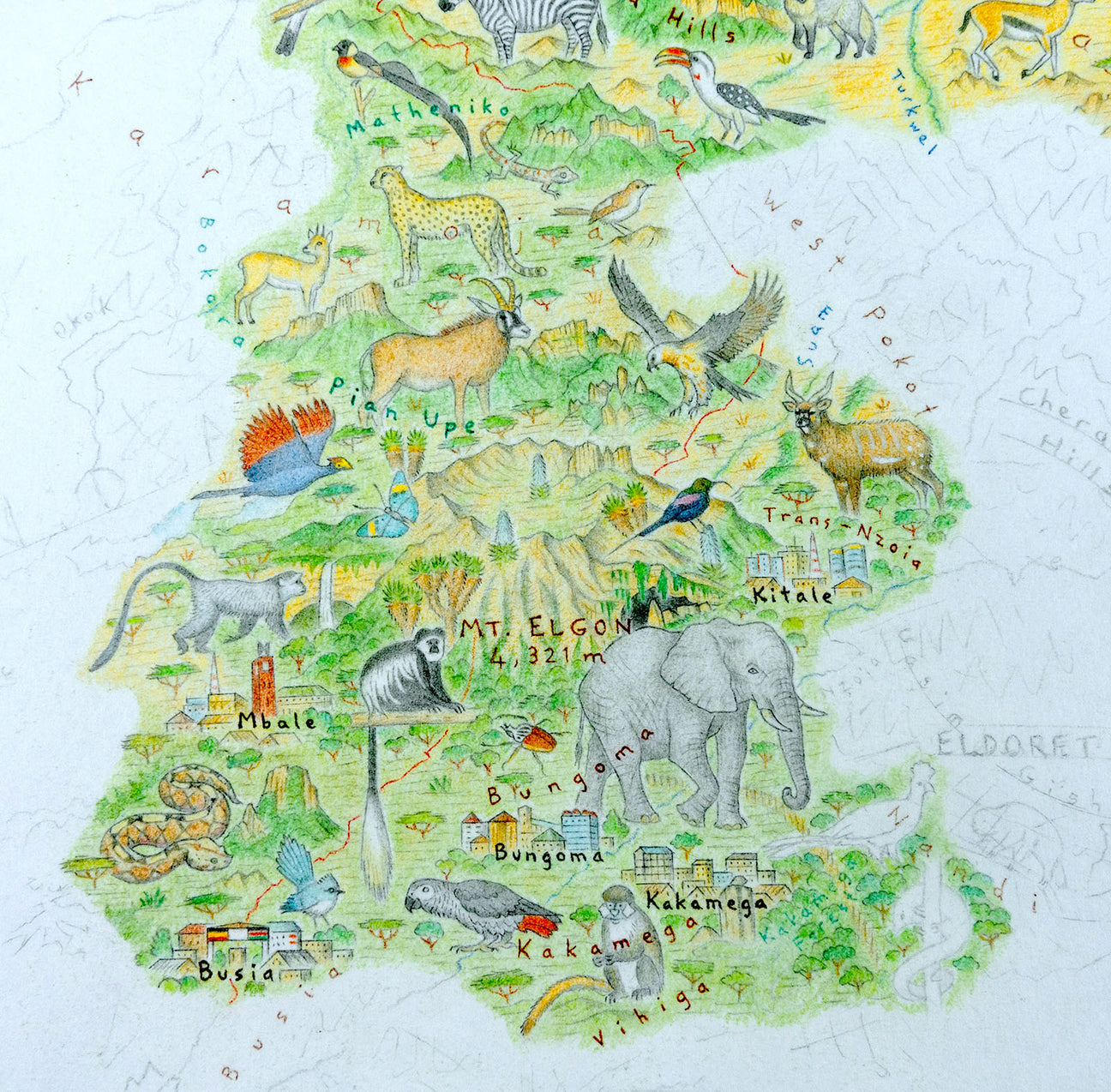 Upcoming – Wild Kenya map, Wild California map – Anton Thomas Art