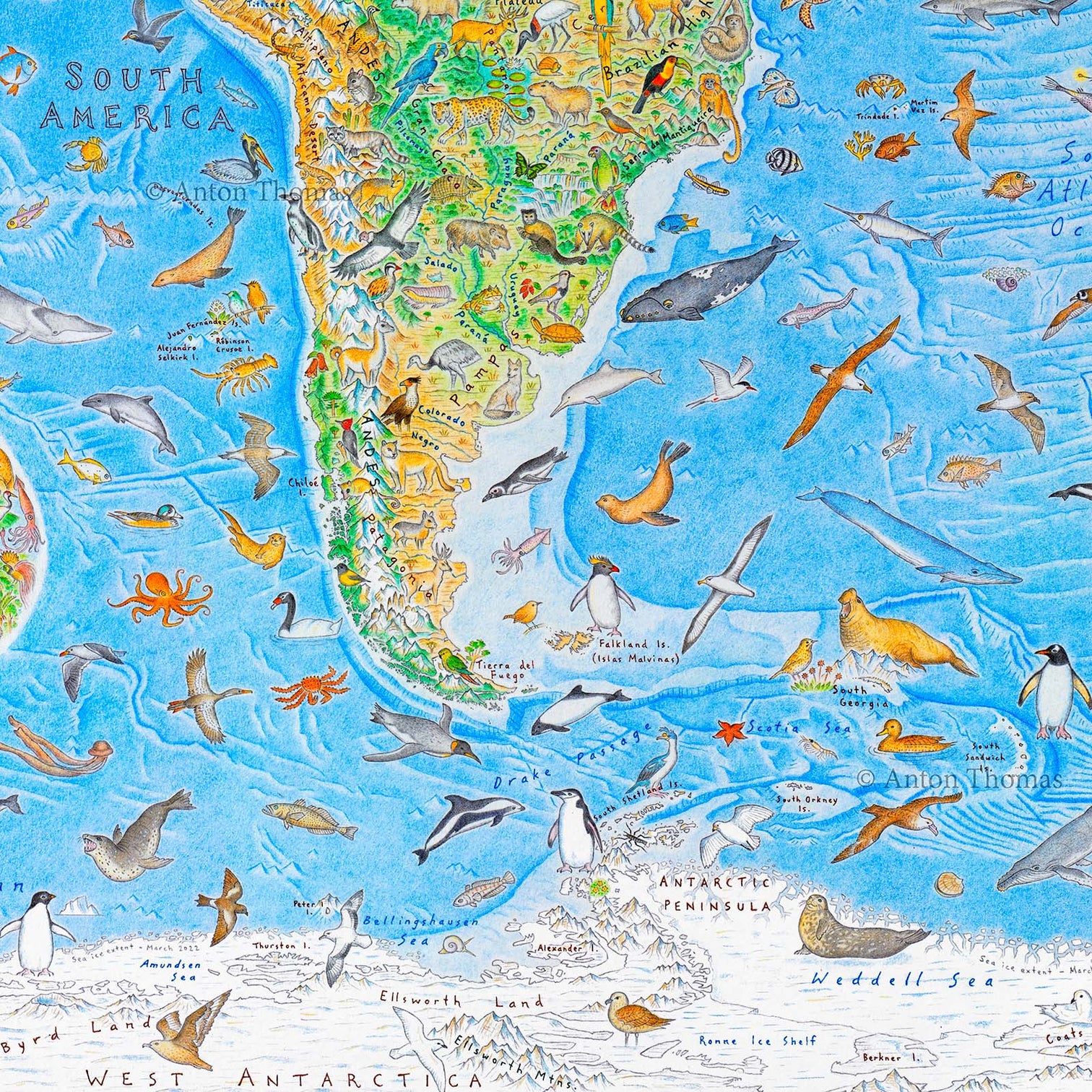 A Life in Maps: Anton Thomas, Artist-Cartographer – Anton Thomas Art